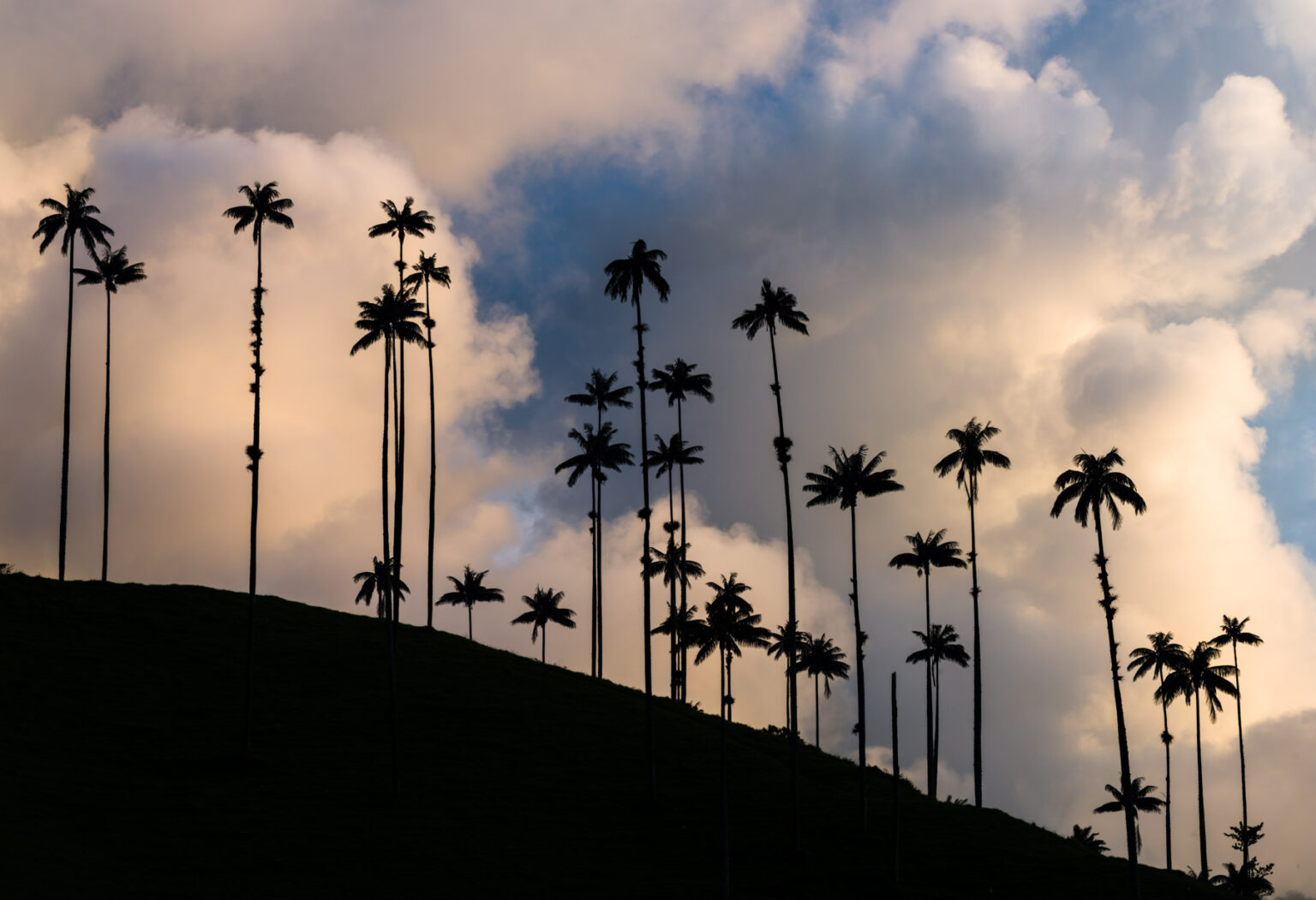 3 ways to use Tonal Contrast in your photos - Joshua Cripps Photography