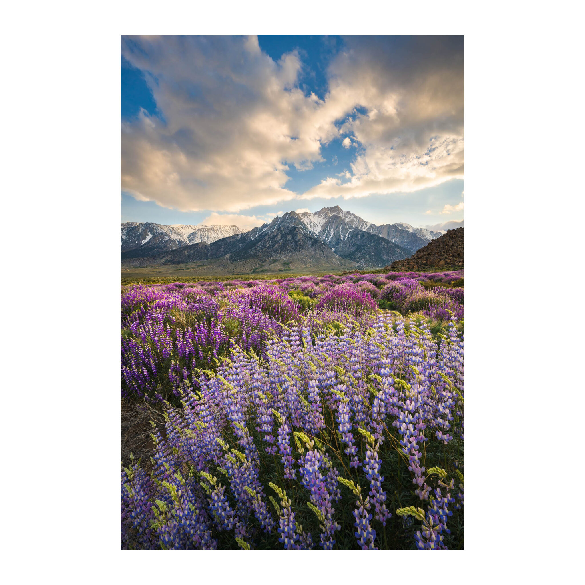 Eastern Sierra - Joshua Cripps Photography