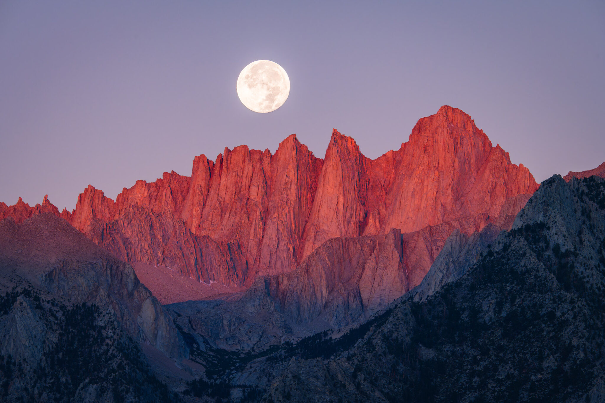 Joshua Cripps: Wilderness Landscape Photographer